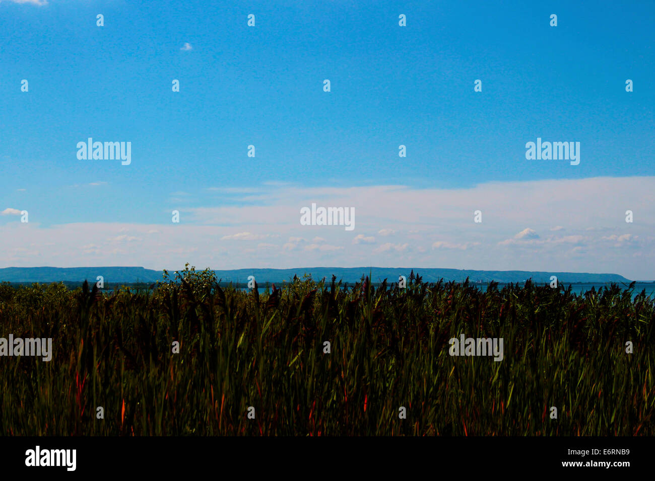 Sunny day at the beach Stock Photo - Alamy