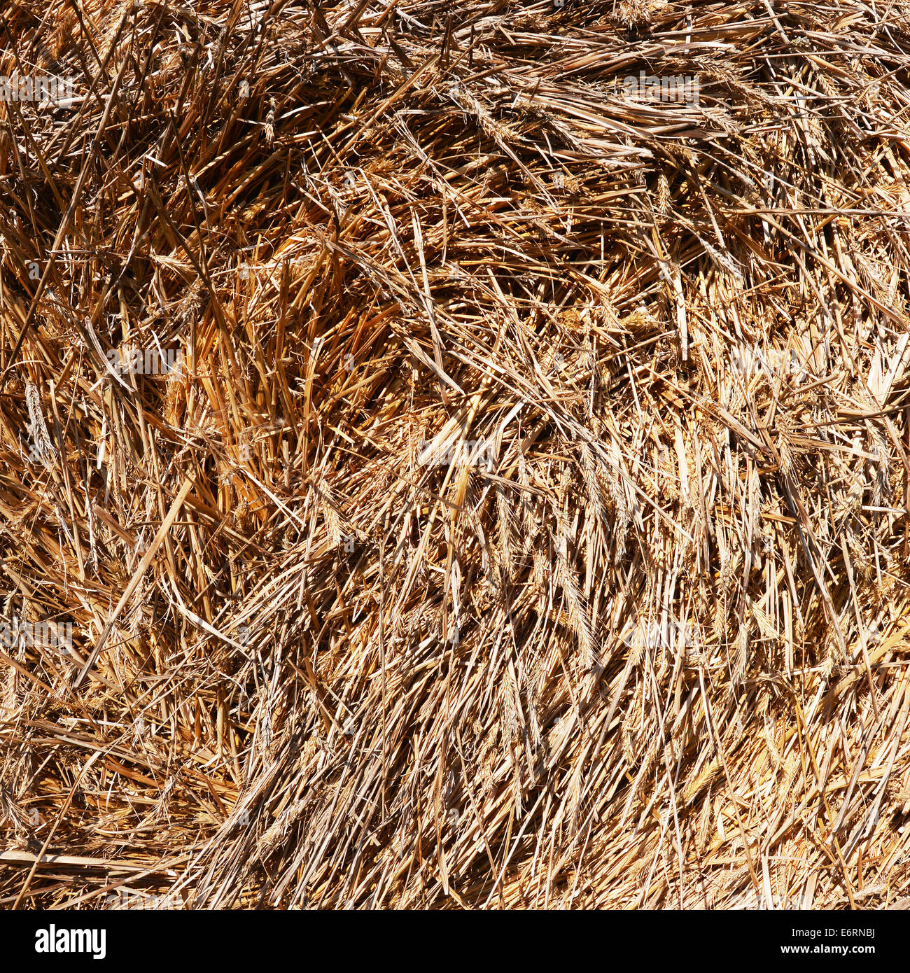 Haystack texture or background Stock Photo - Alamy