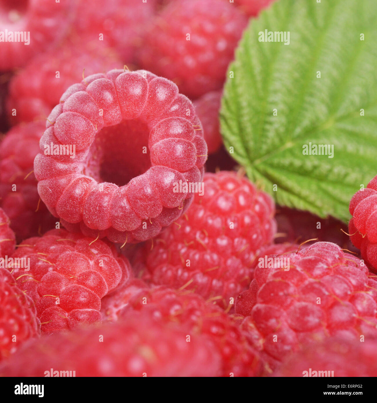 Very tasty summer raspberries with green leaf Stock Photo - Alamy