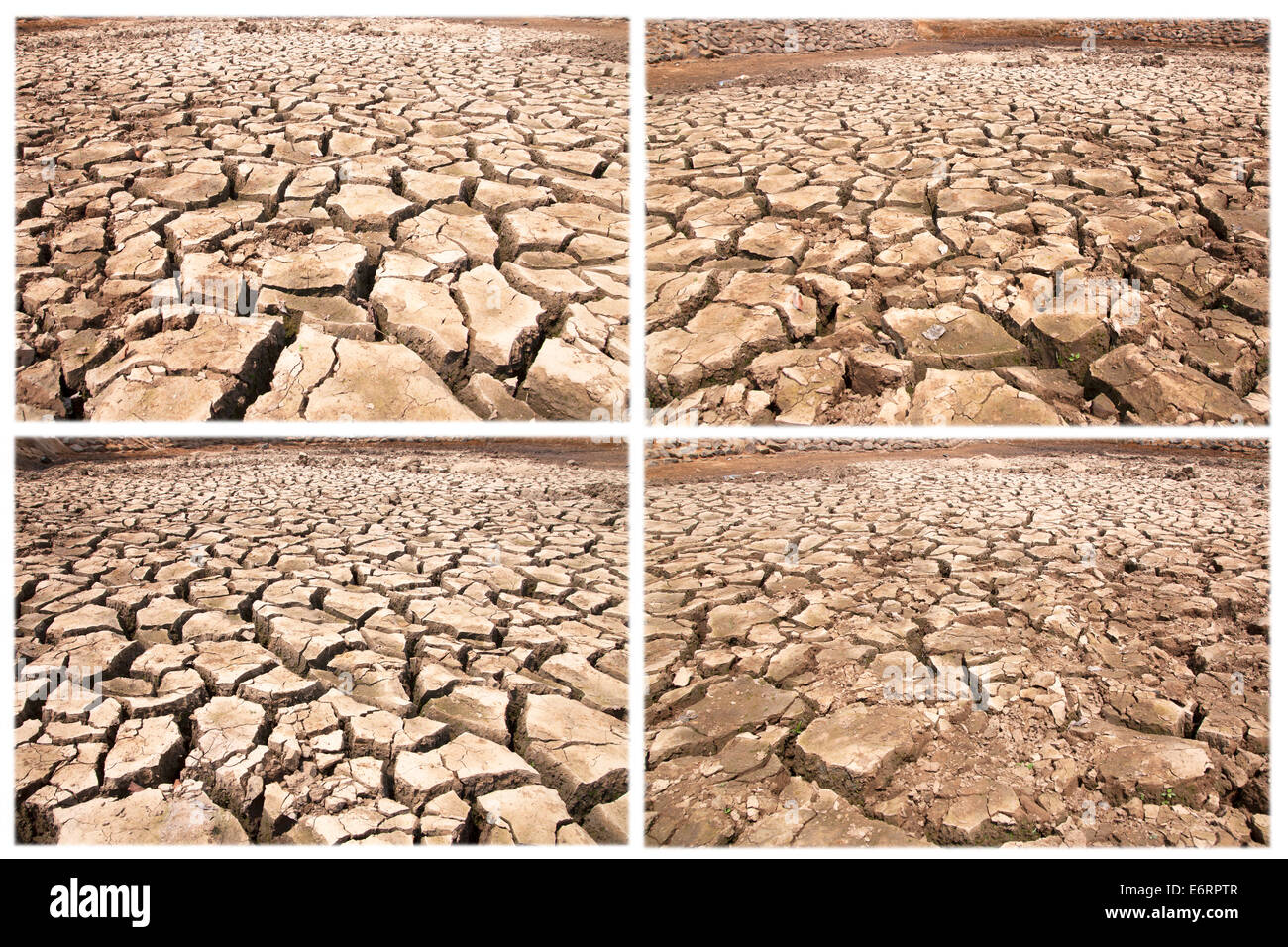 Drought land hi-res stock photography and images - Alamy