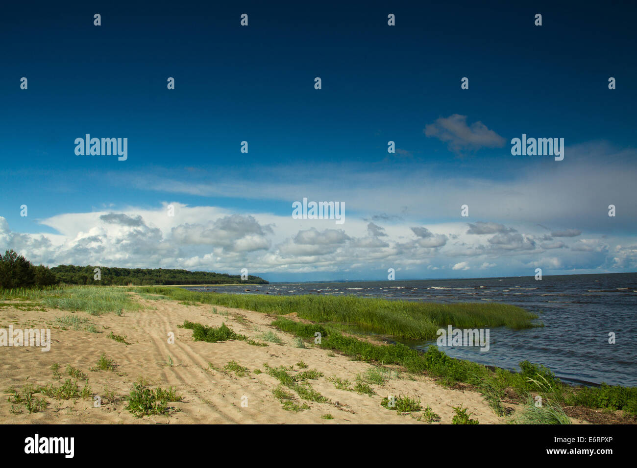 Baltic Sea in summer. beautiful places in Europe Stock Photo - Alamy