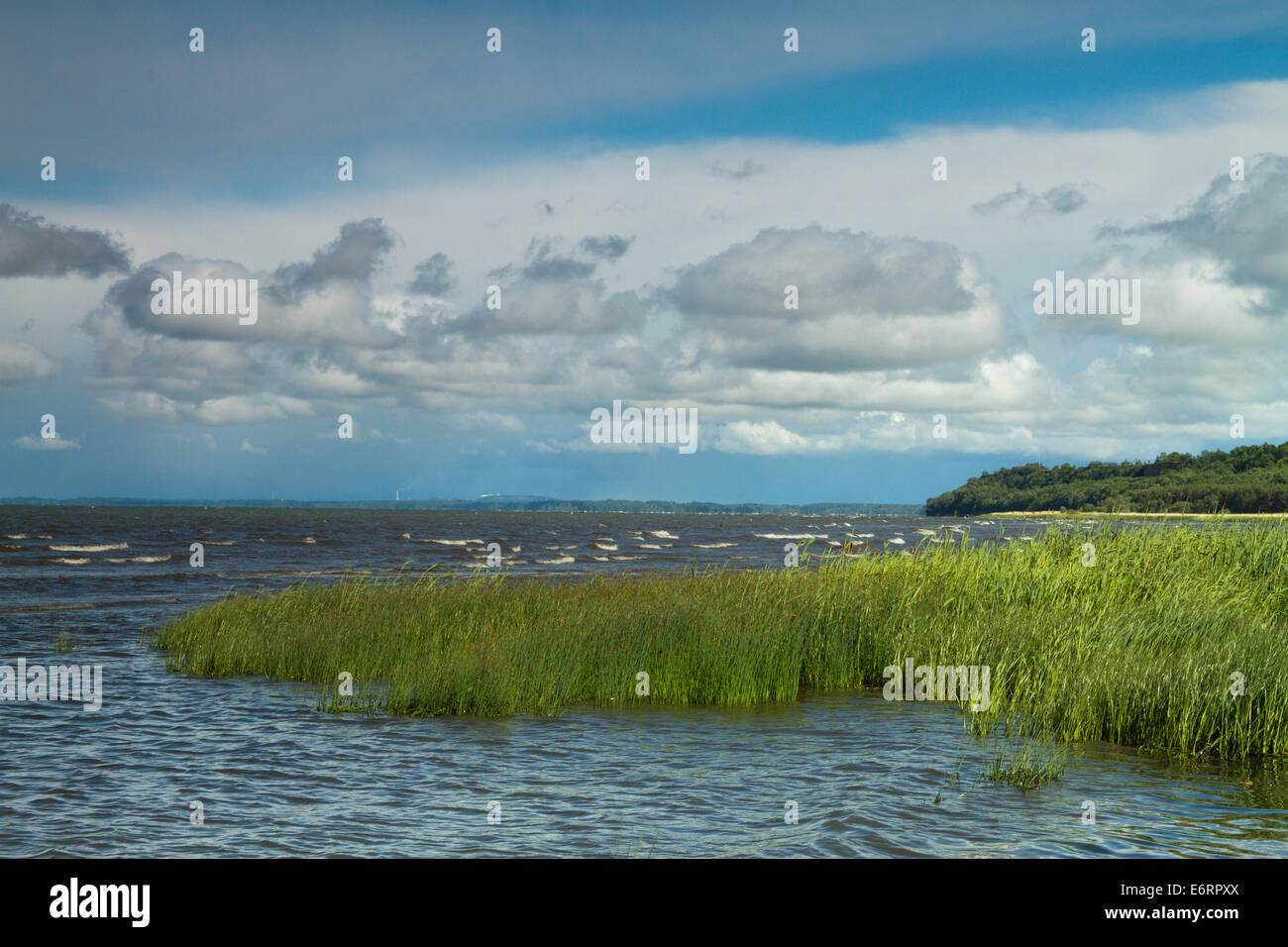 Baltic Sea in summer. beautiful places in Europe Stock Photo - Alamy
