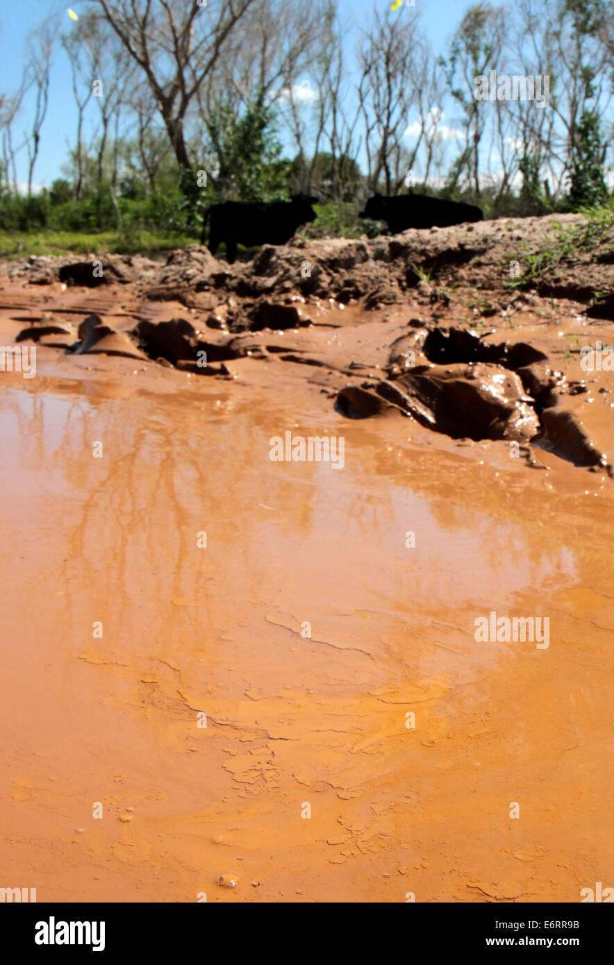 Mining disaster mexico hi-res stock photography and images - Alamy