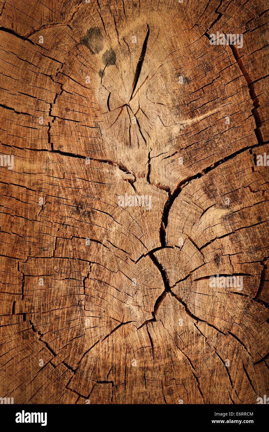 Dark brown tree trunk texture or background Stock Photo - Alamy