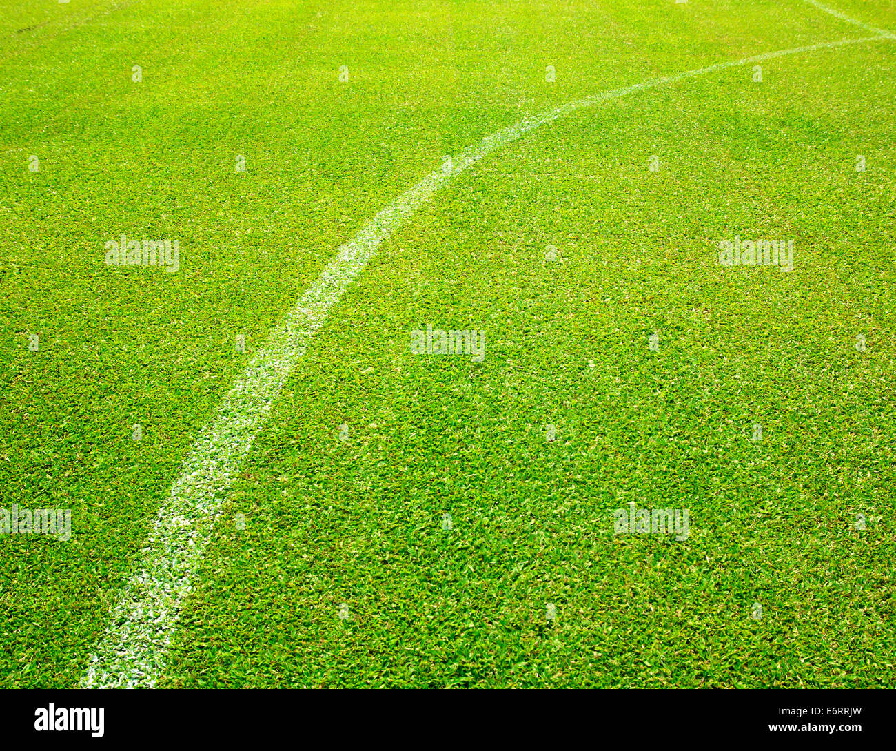 Golf green grass background texture nature leaves Stock Photo - Alamy