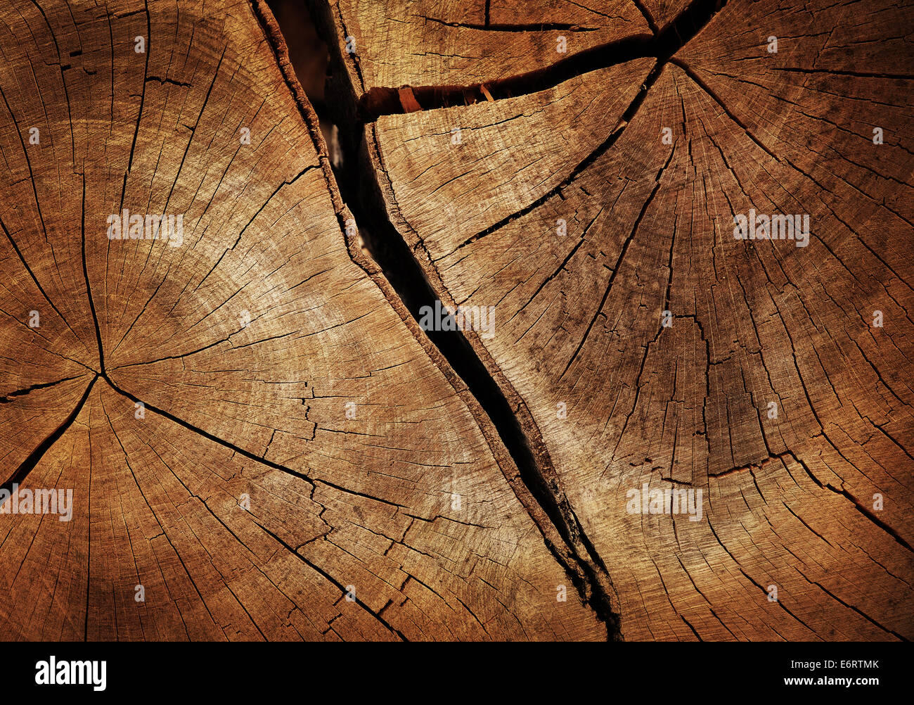 Timber panelling wall hi-res stock photography and images - Alamy