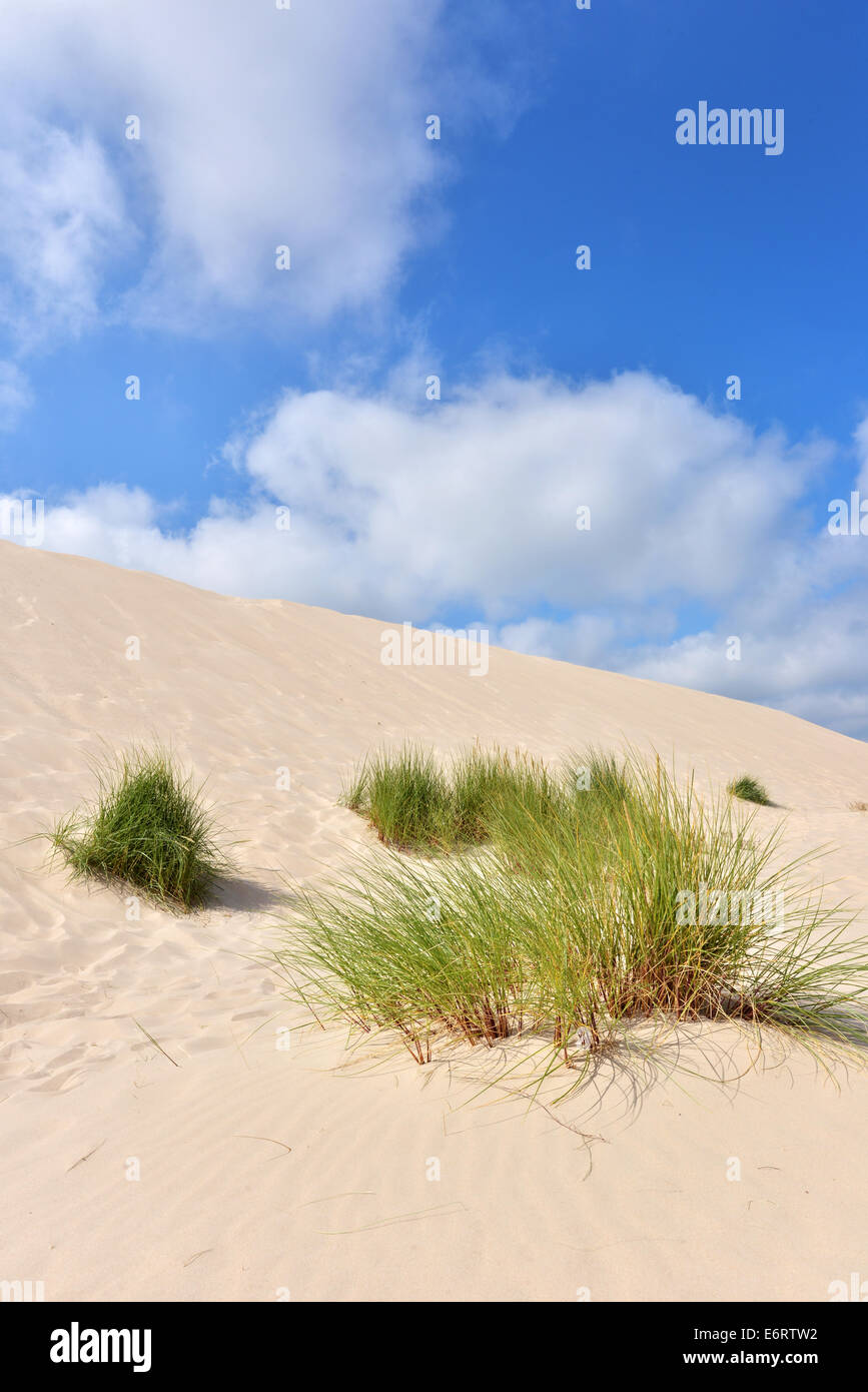 Desert landscape Slowinski National Park Poland Baltic sea Stock Photo ...