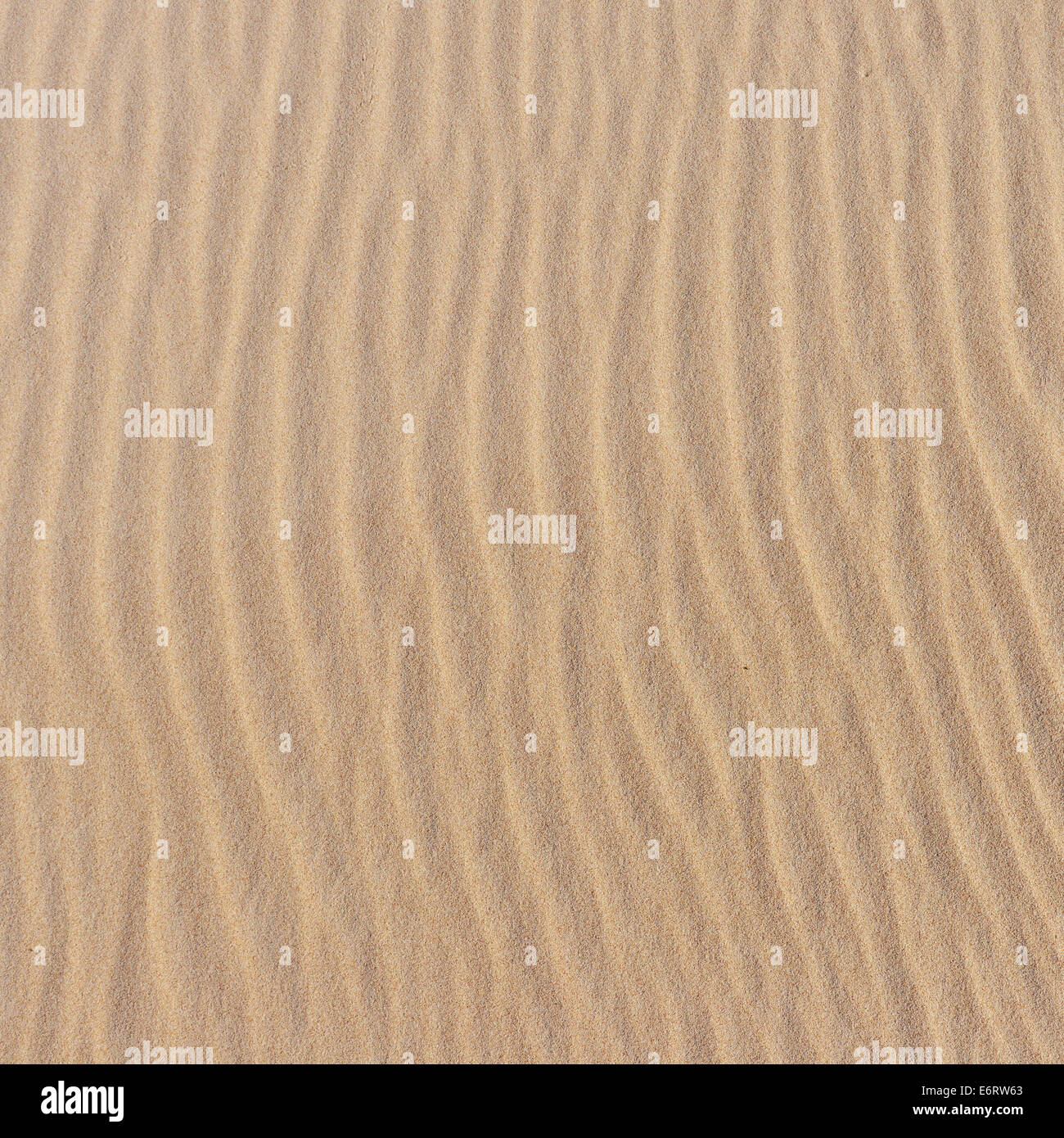 Yellow sand texture or background close up Stock Photo - Alamy