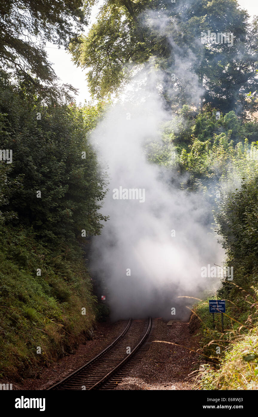 Smoke from steam train leaving Greenway tunnel, Dartmouth Steam Railway ...