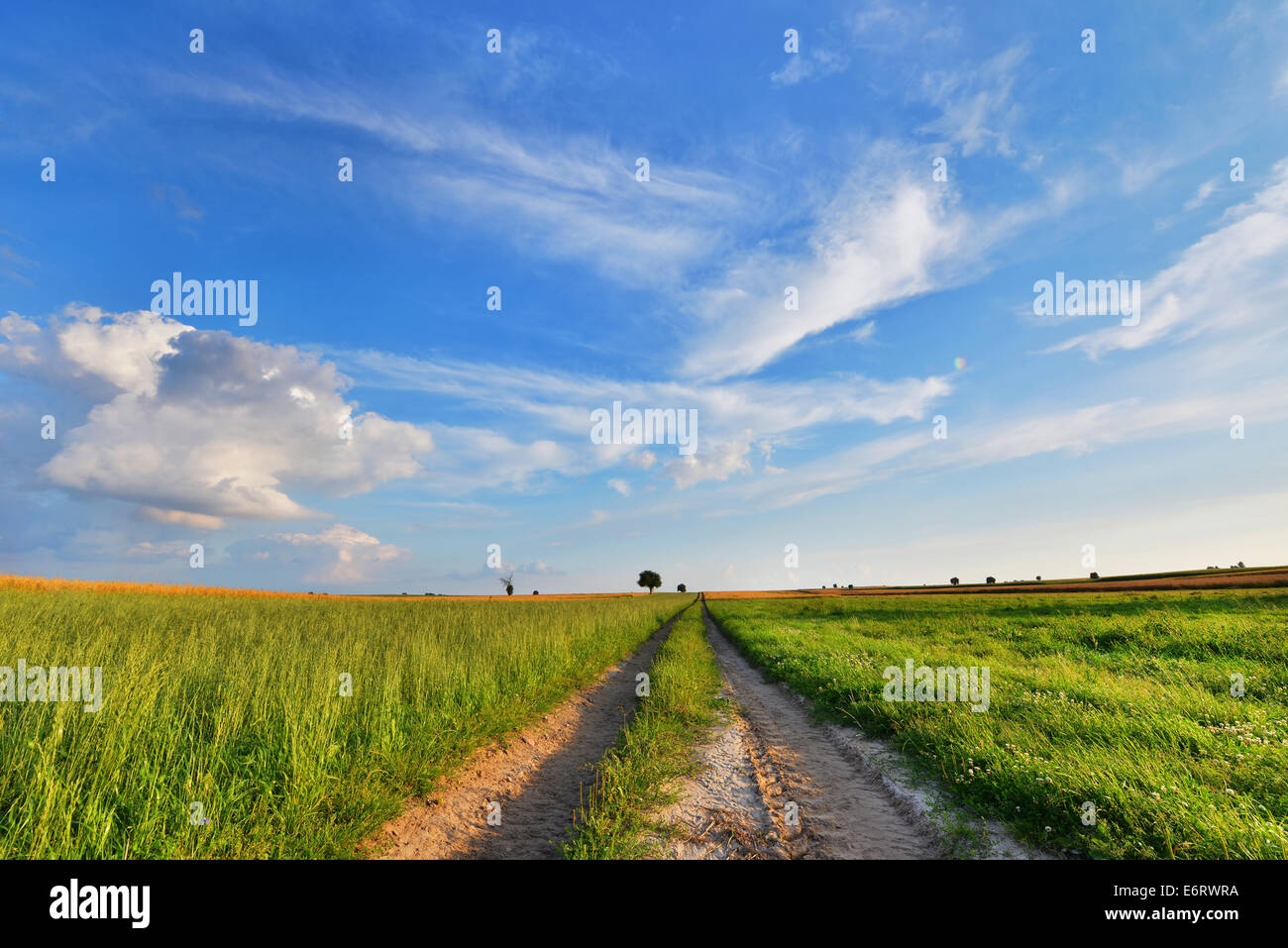 Beautiful summer landscape with dirt road and blue sky Stock Photo - Alamy