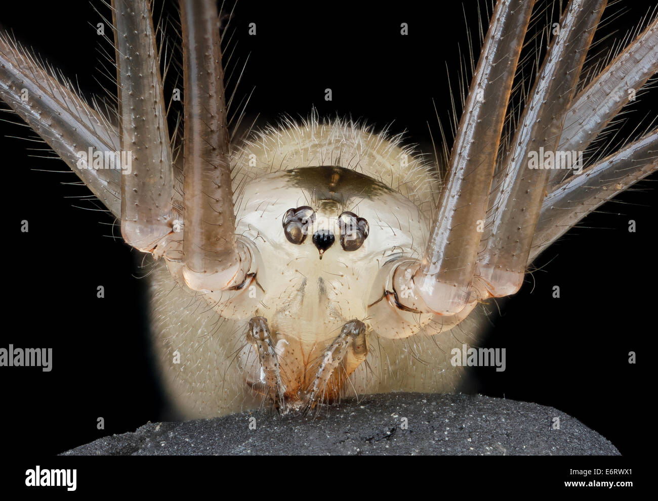 Agriculture beltsville hi-res stock photography and images - Alamy