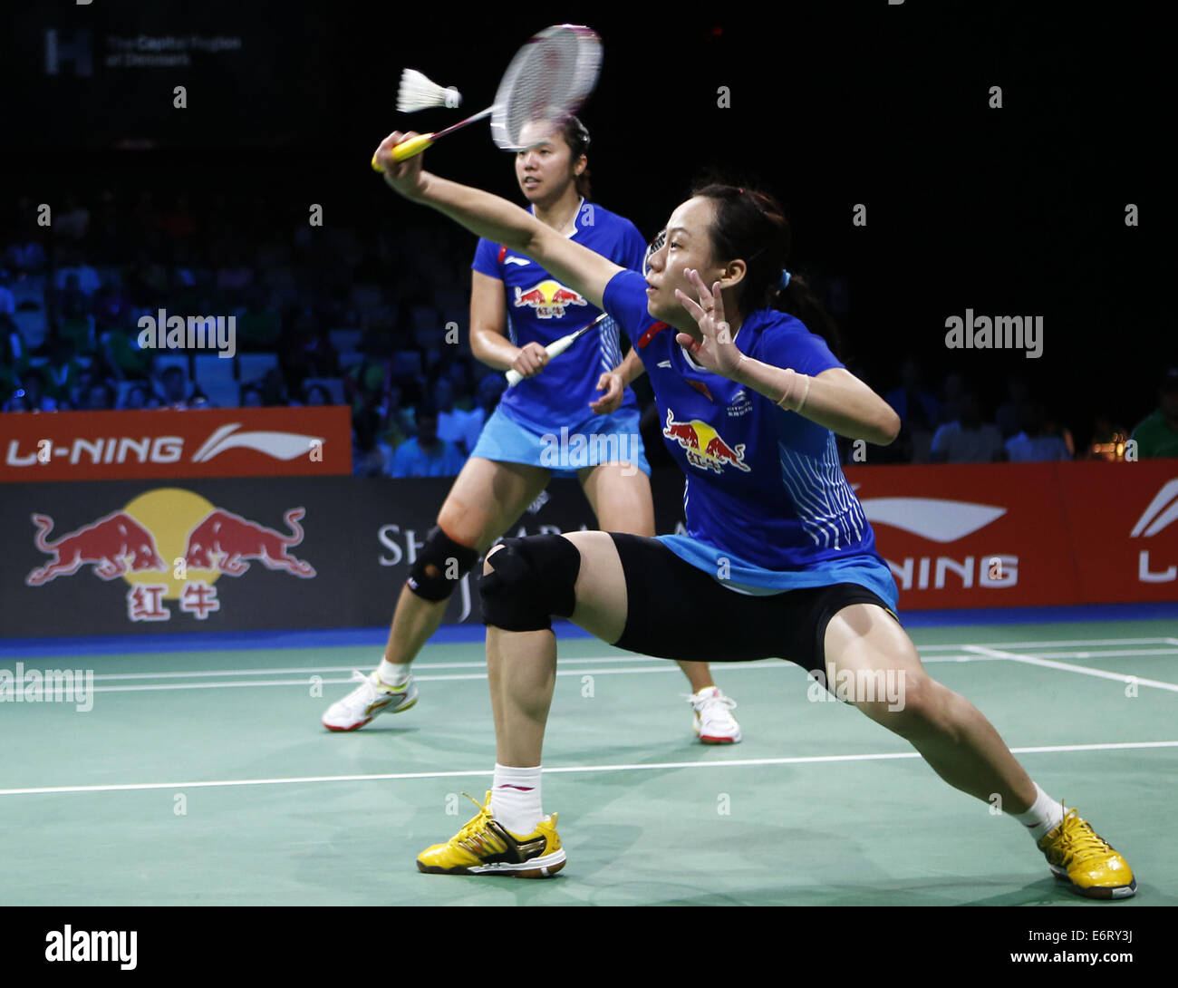 Li qing zhao hi-res stock photography and images - Alamy