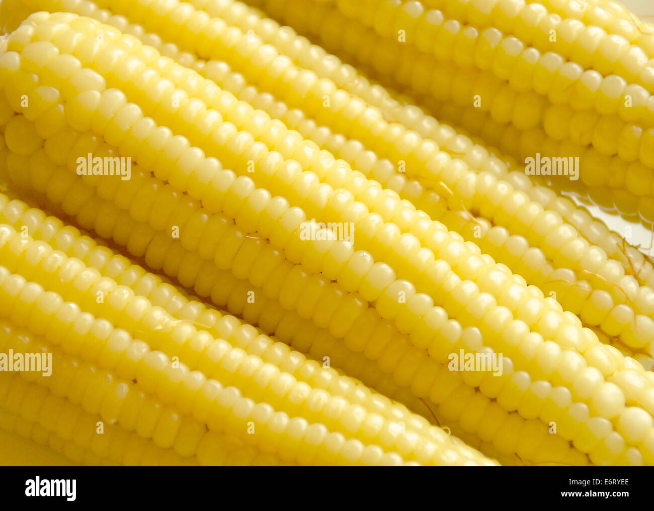 The crops of corn for sale at market Stock Photo - Alamy