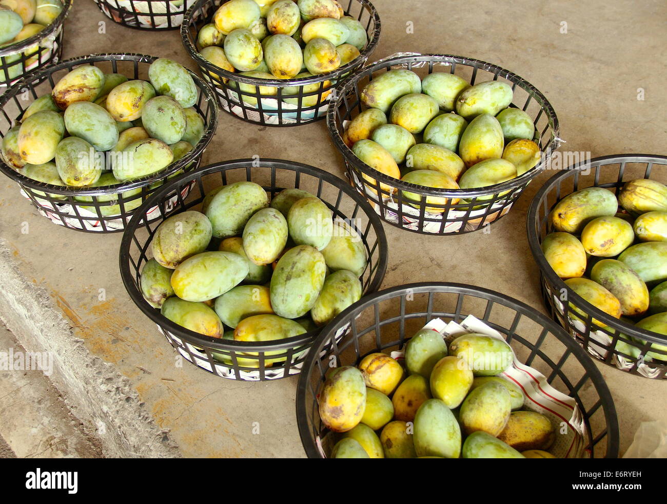 The closeup of mango in fruit market Stock Photo - Alamy