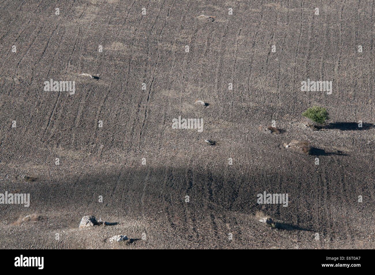 Side lit view of ploughed fields below the ancient Roman site of Ronda ...