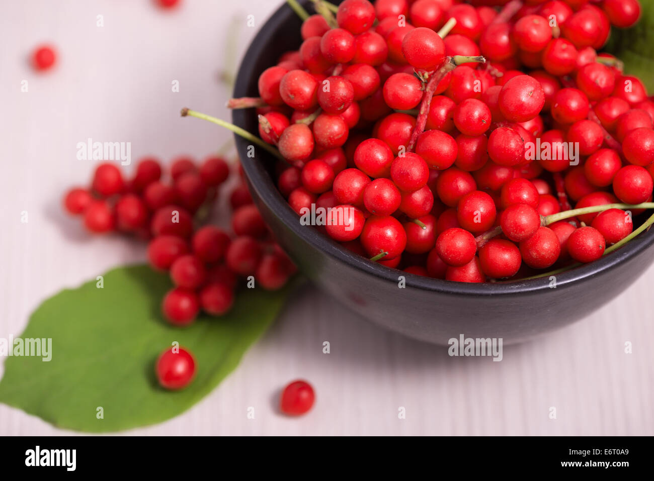 Schisandra chinensis or five flavor berry Stock Photo - Alamy