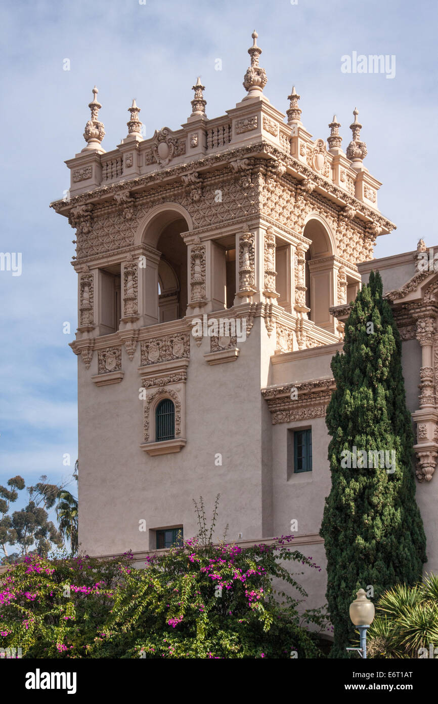 Balboa tree hi-res stock photography and images - Alamy
