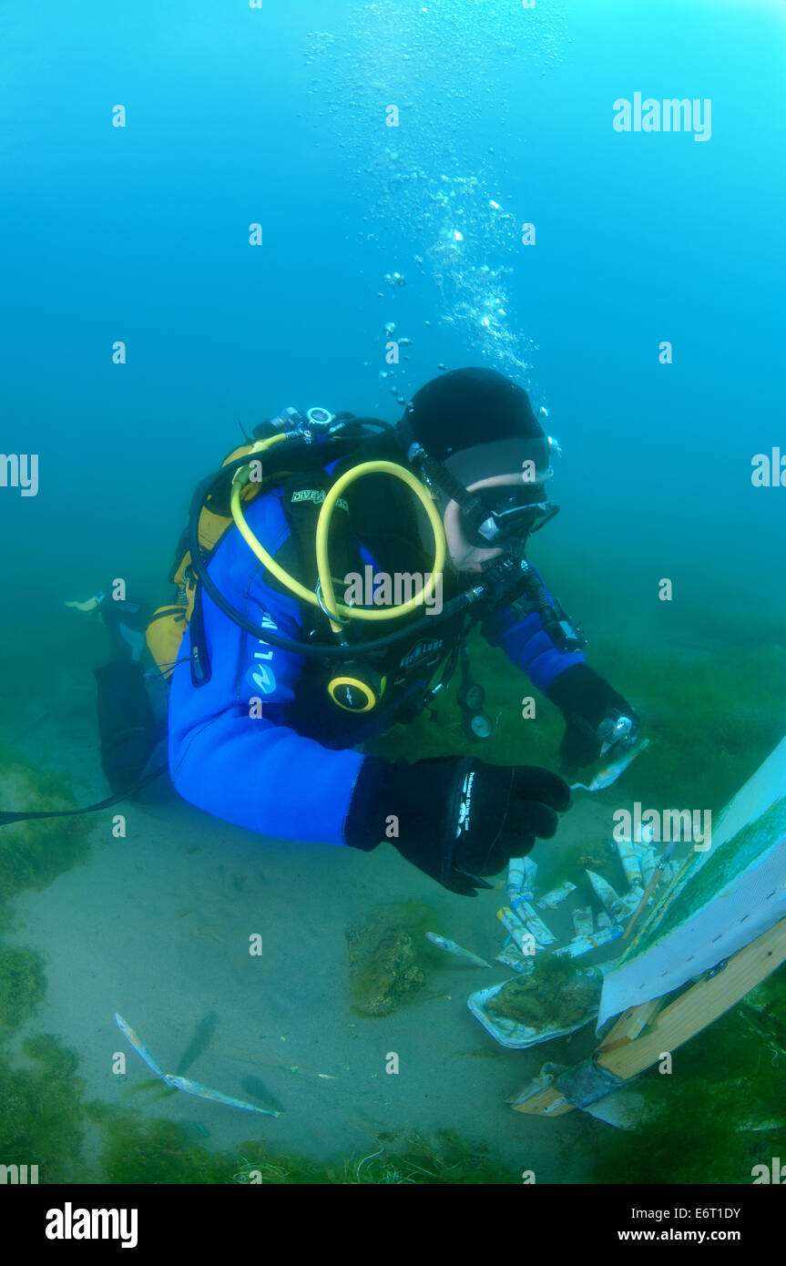 Underwater feature hi-res stock photography and images - Alamy