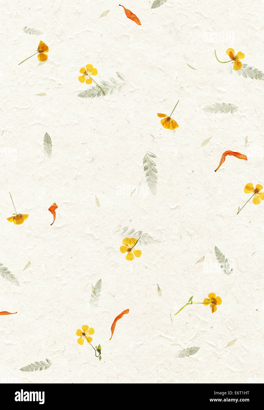 Handmade flower petal paper texture background Stock Photo - Alamy