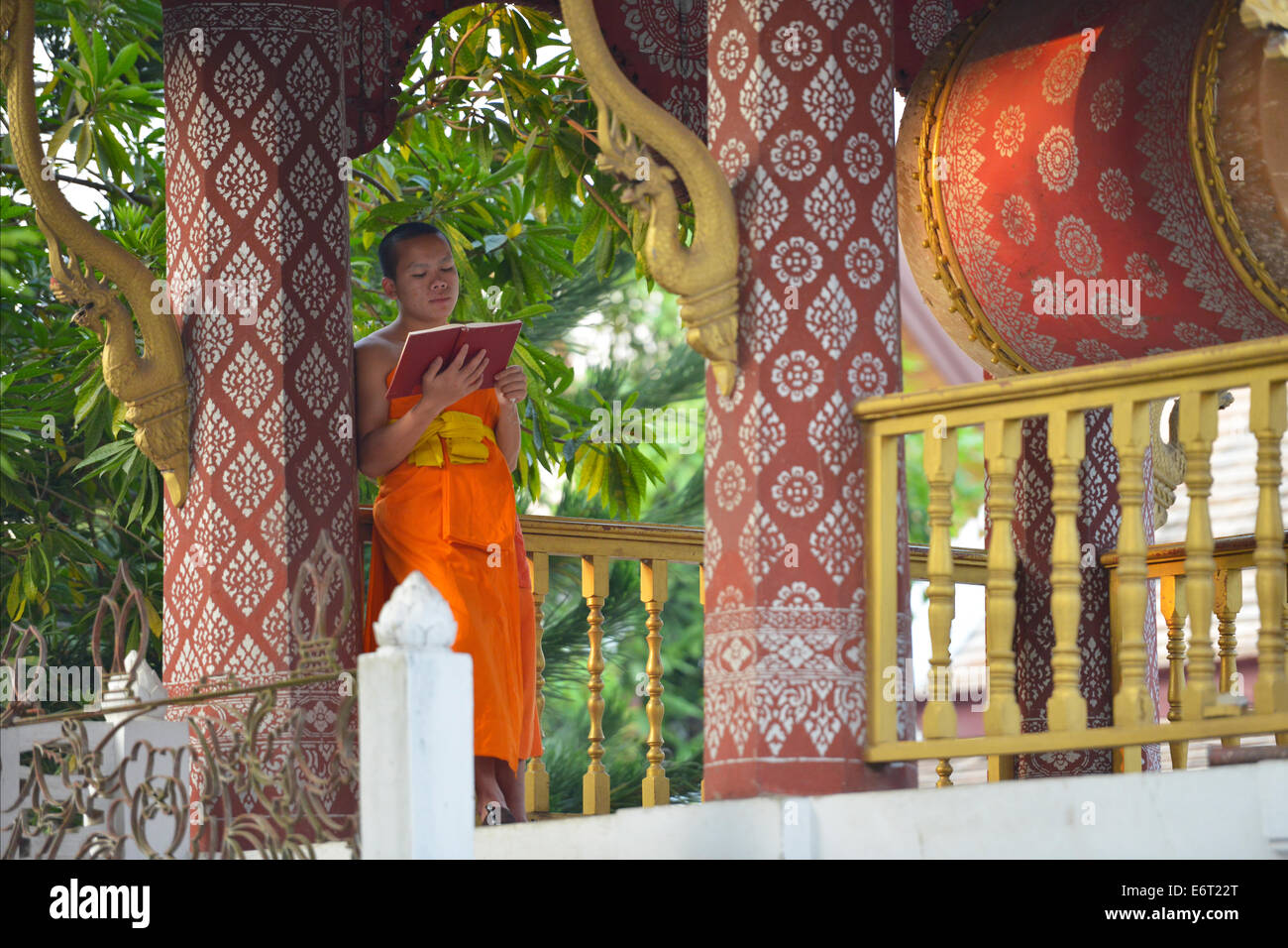 Buddhist monk reading a book hi-res stock photography and images - Alamy
