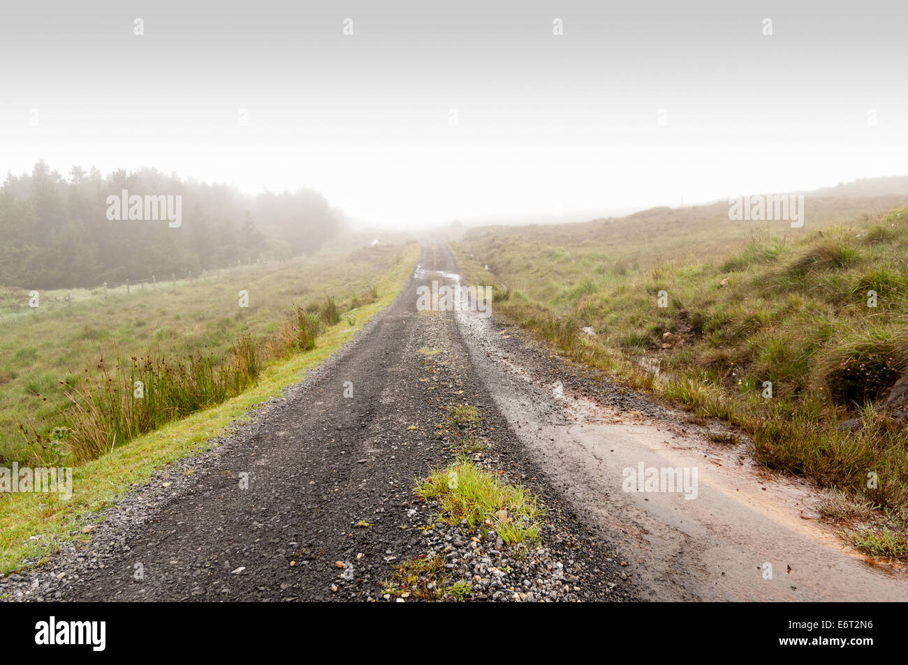 remote hillside track in the mist Stock Photo - Alamy