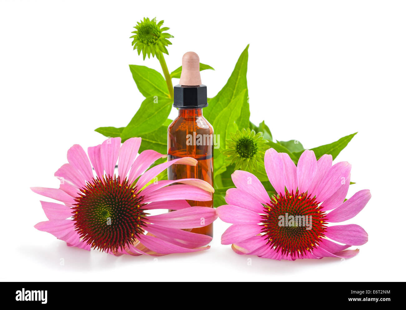 Dropper hi-res stock photography and images - Alamy