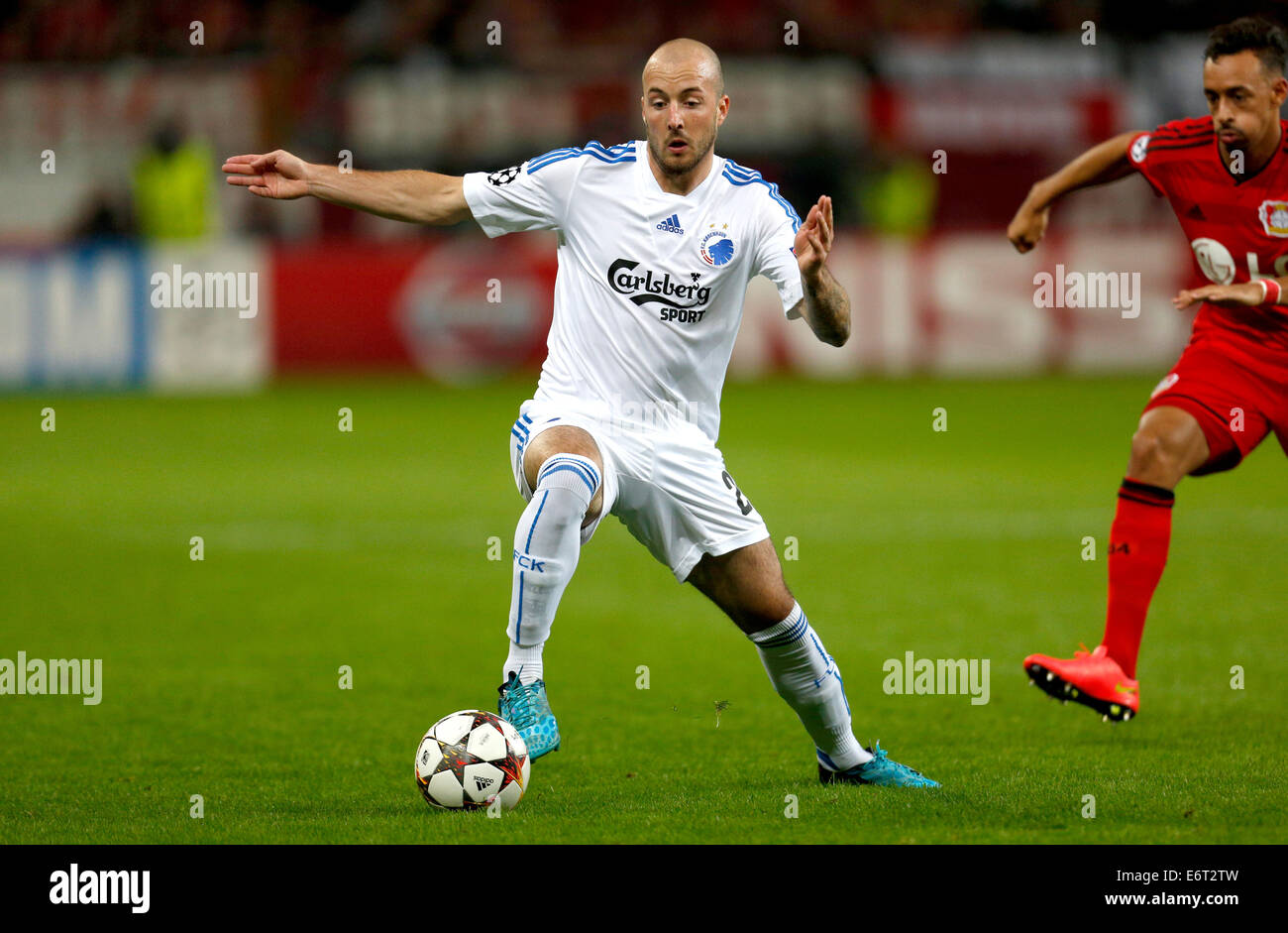 Steve ridder hi-res stock photography and images - Alamy