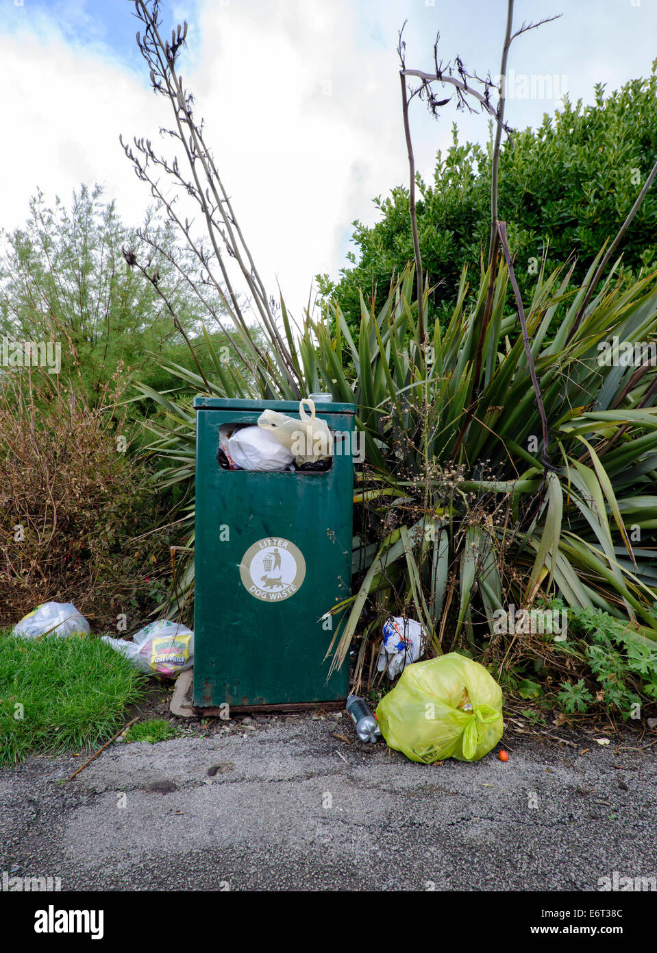 Bin overflowing hi-res stock photography and images - Alamy