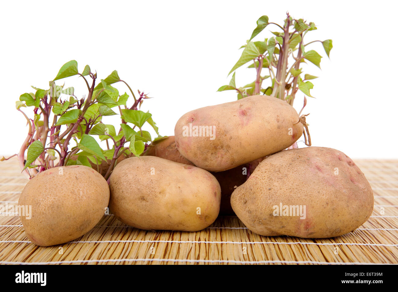 Potatoes sprouting hi-res stock photography and images - Alamy