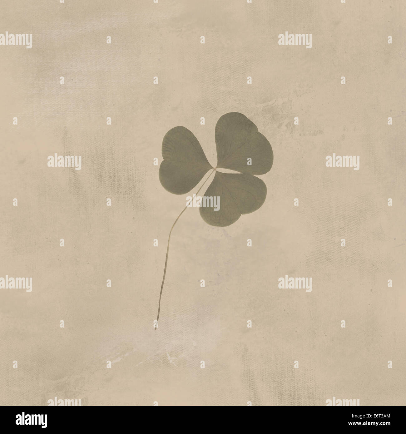 vintage shabby background with clover Stock Photo - Alamy