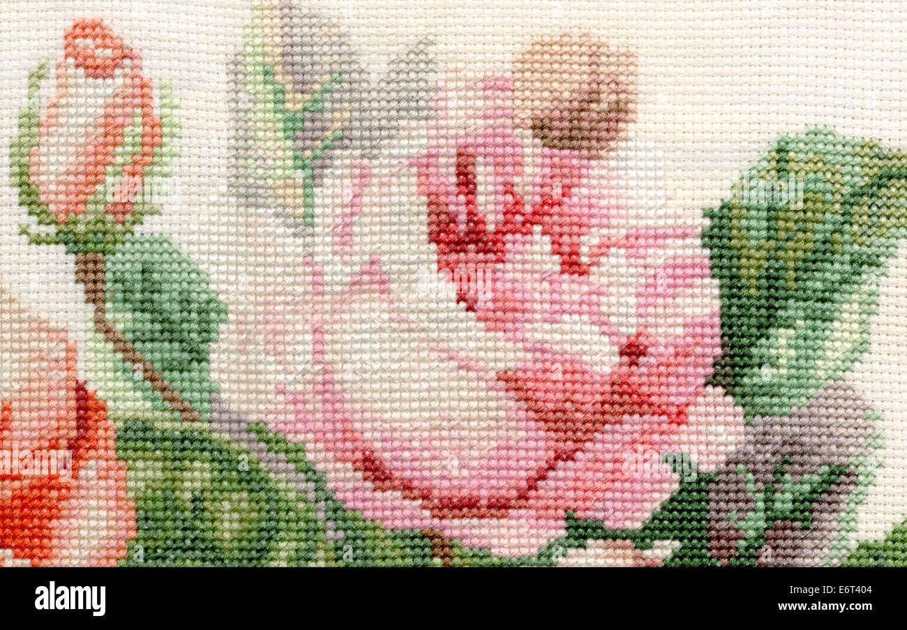 Rose stitch hi-res stock photography and images - Alamy