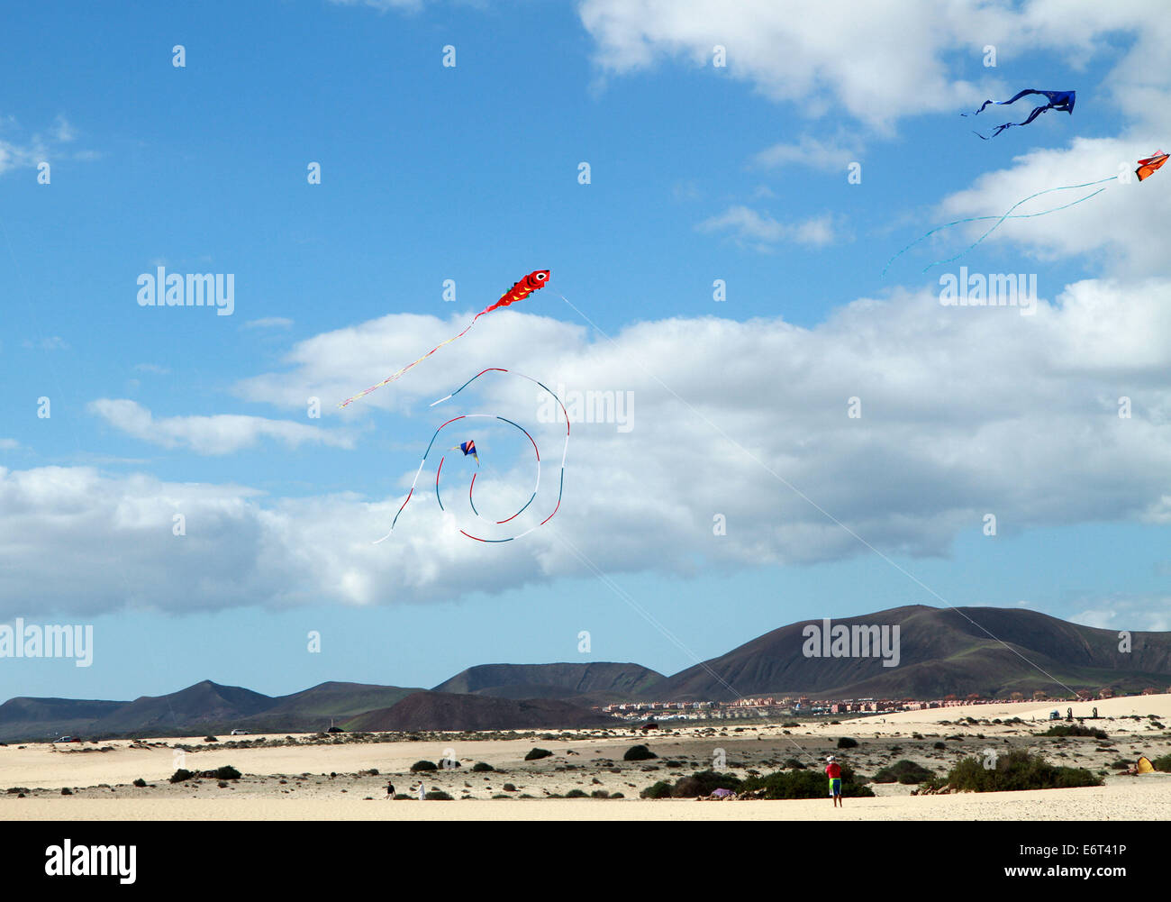 Cow kites hi-res stock photography and images - Alamy