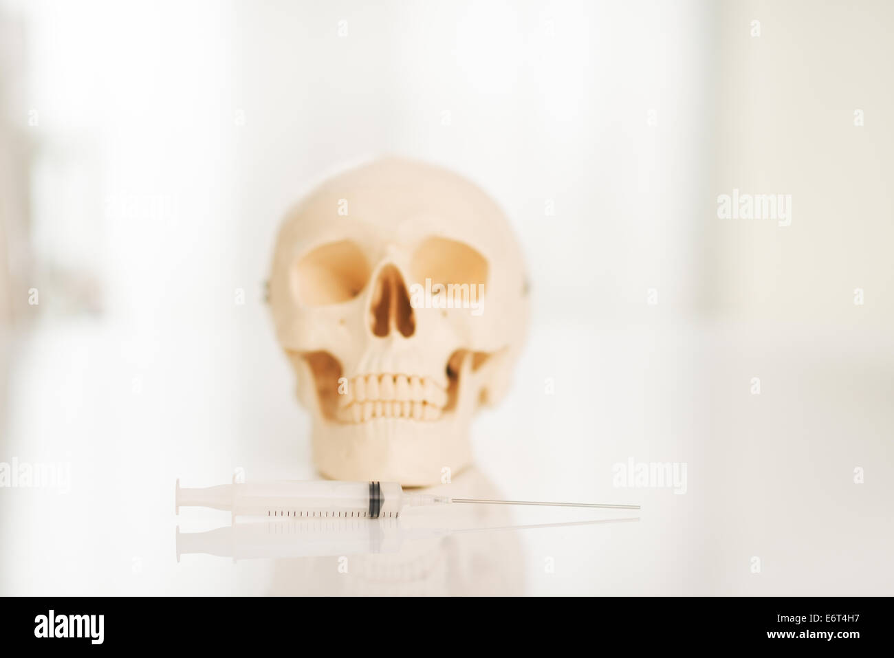 Closeup on human skull on table Stock Photo - Alamy