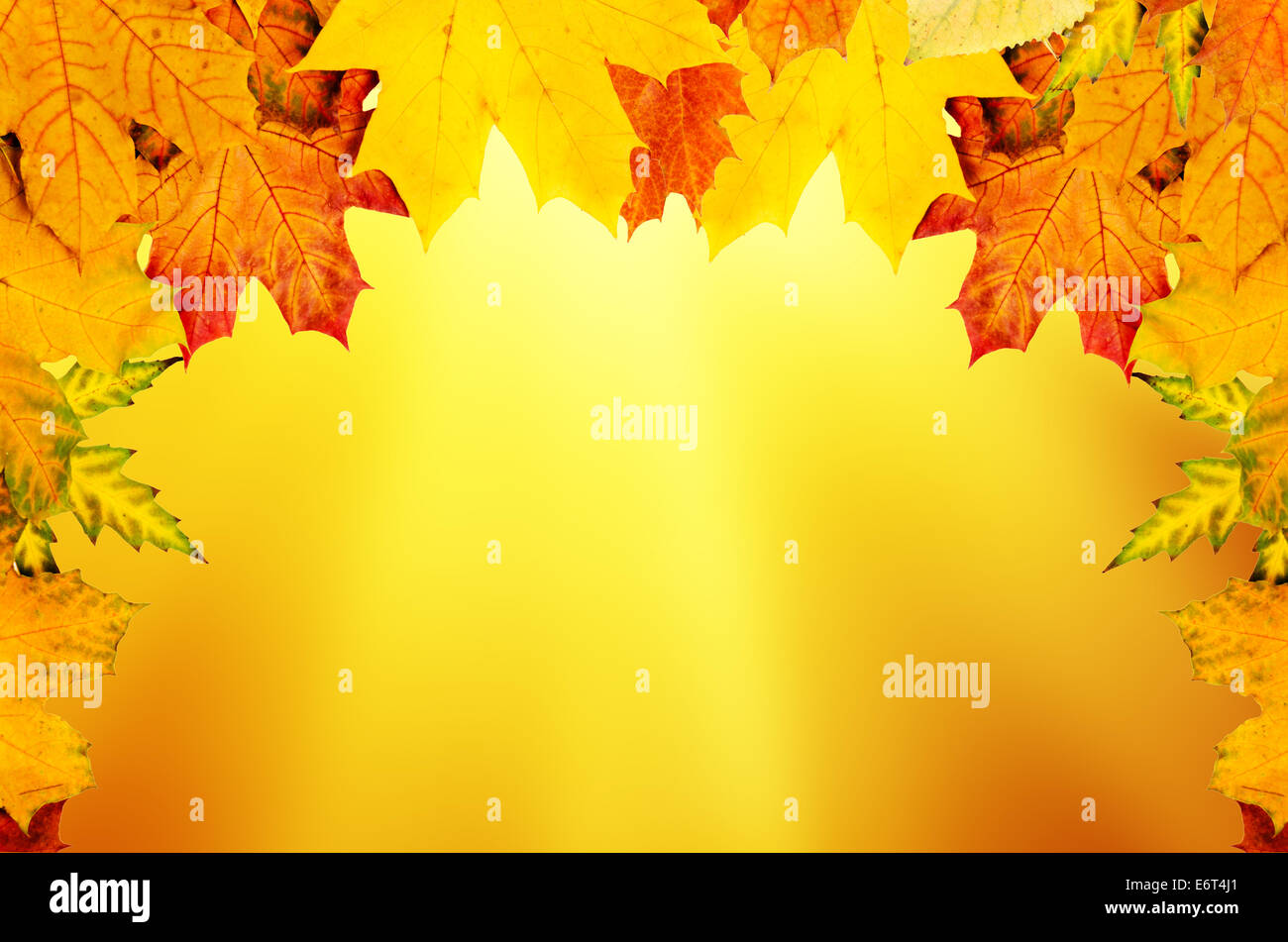 Autumn leaves frame Stock Photo - Alamy
