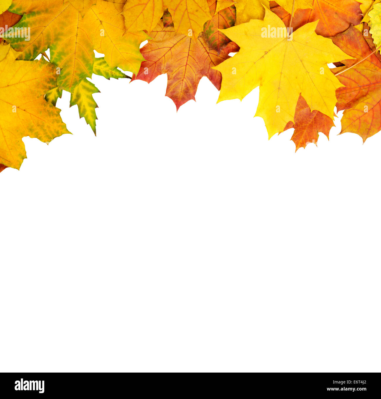Autumn leaves frame Stock Photo - Alamy