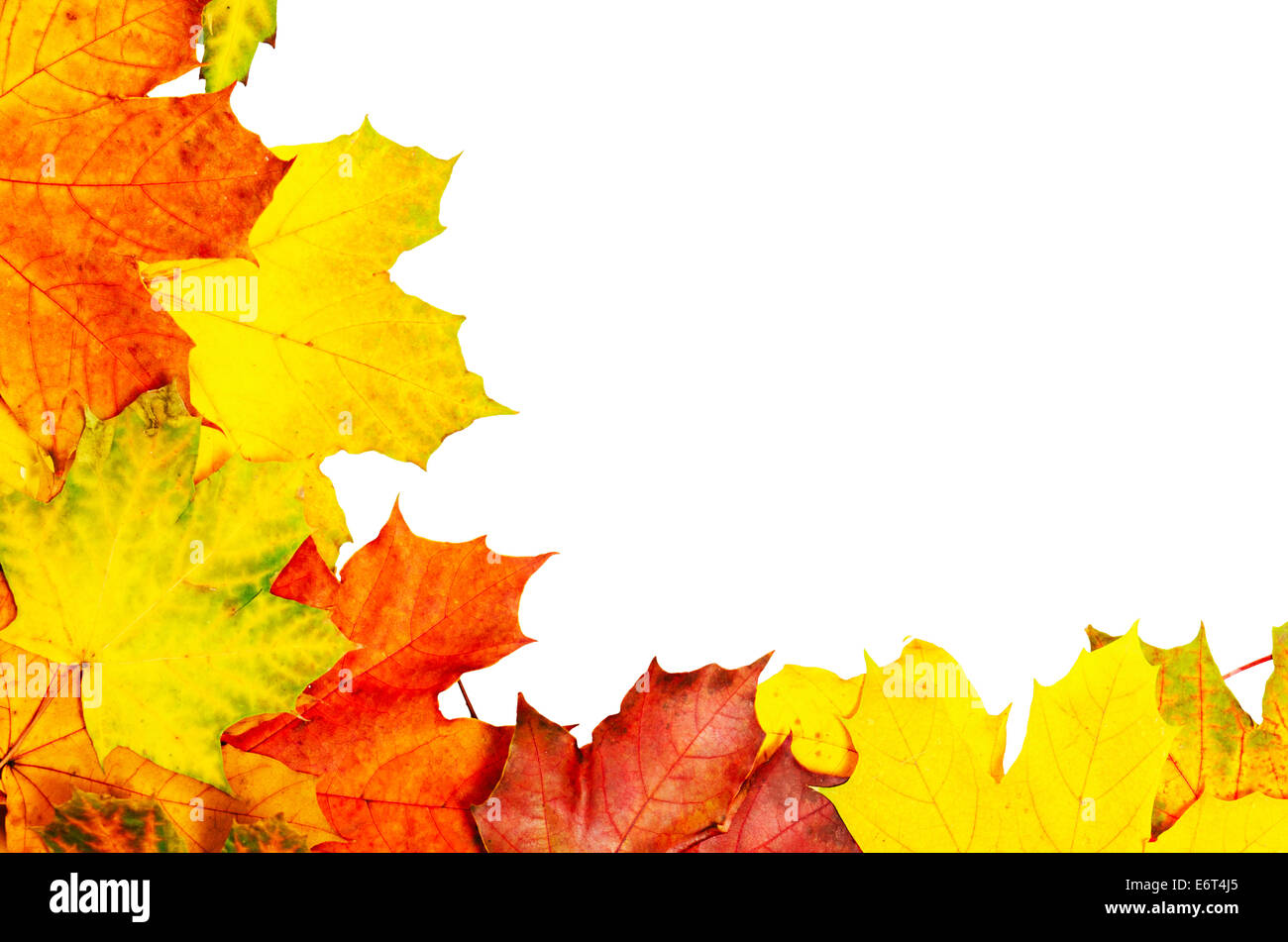 Autumn leaves frame Stock Photo - Alamy