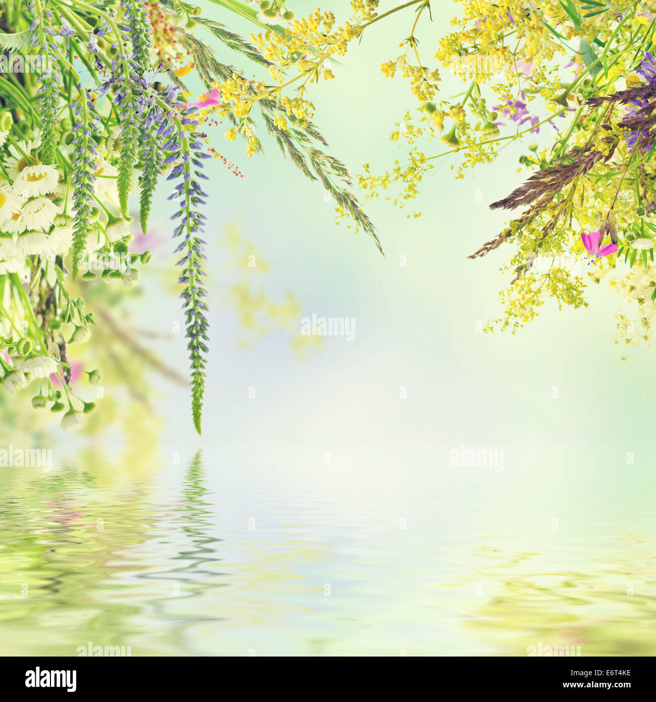 Natural floral background Stock Photo - Alamy