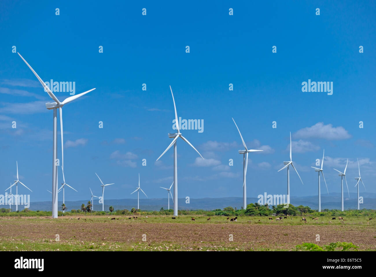 Power farm hi-res stock photography and images - Alamy