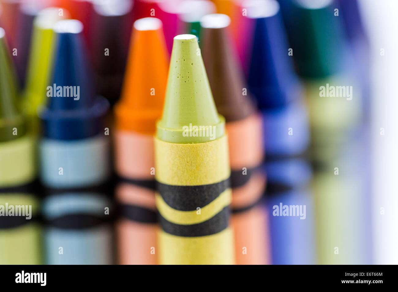 Multicolored crayons on a white background Stock Photo - Alamy