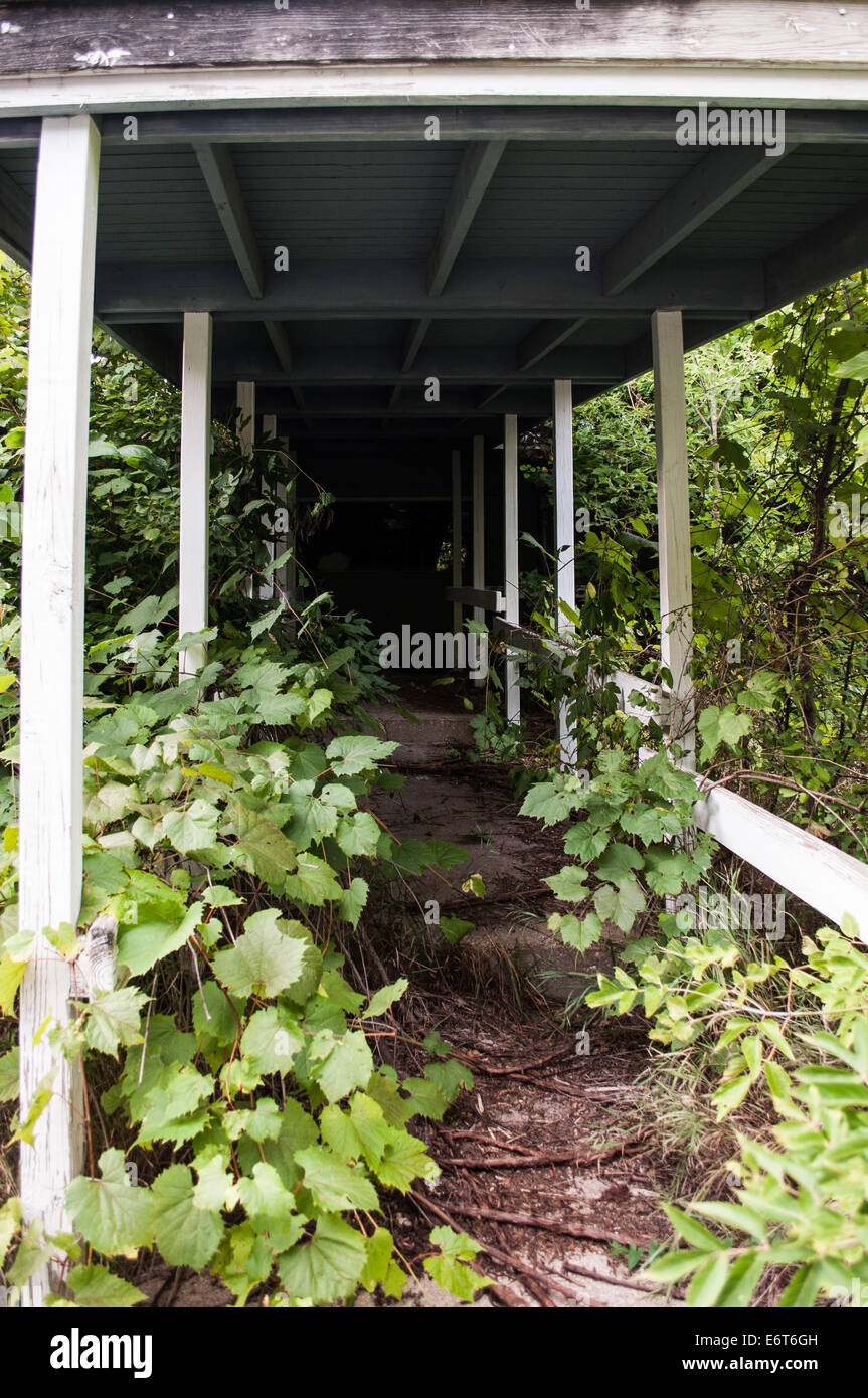 Dark walkway hi-res stock photography and images - Alamy