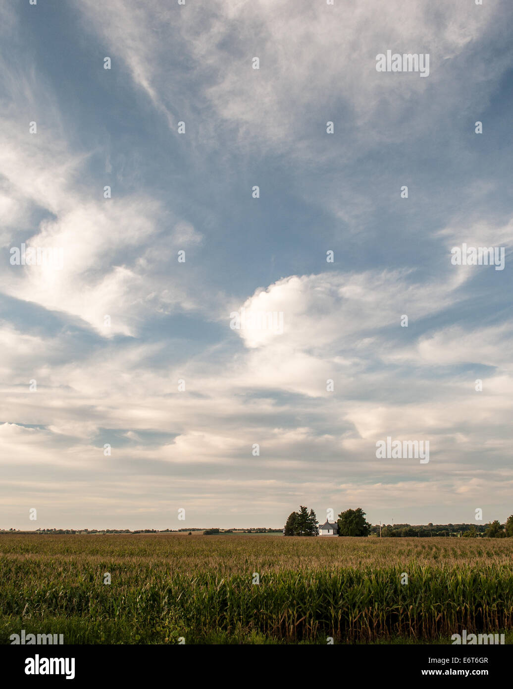 House in a corn farm hi-res stock photography and images - Alamy