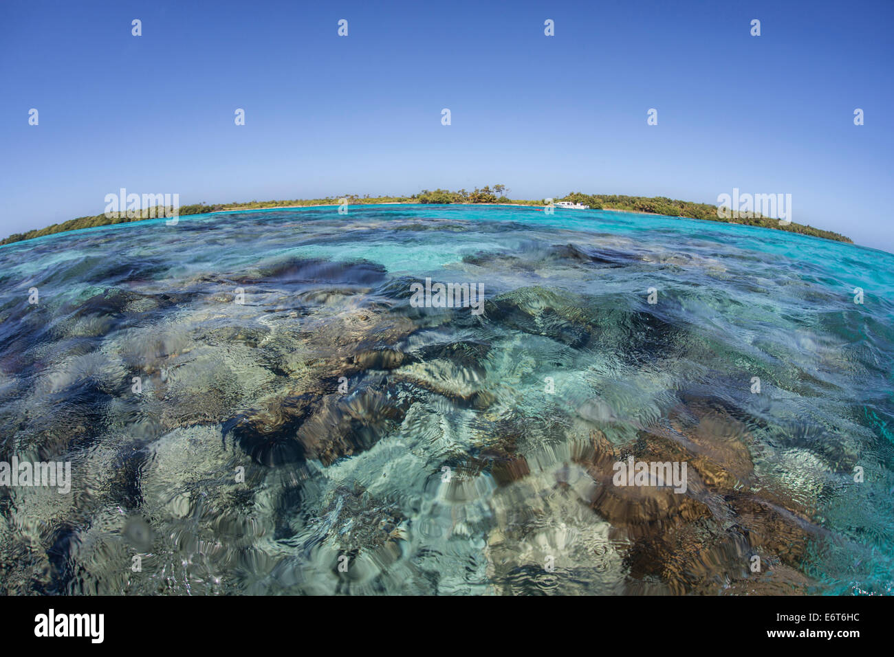 Caribbean Coral Reef, Turneffe Atoll, Caribbean, Belize Stock Photo - Alamy