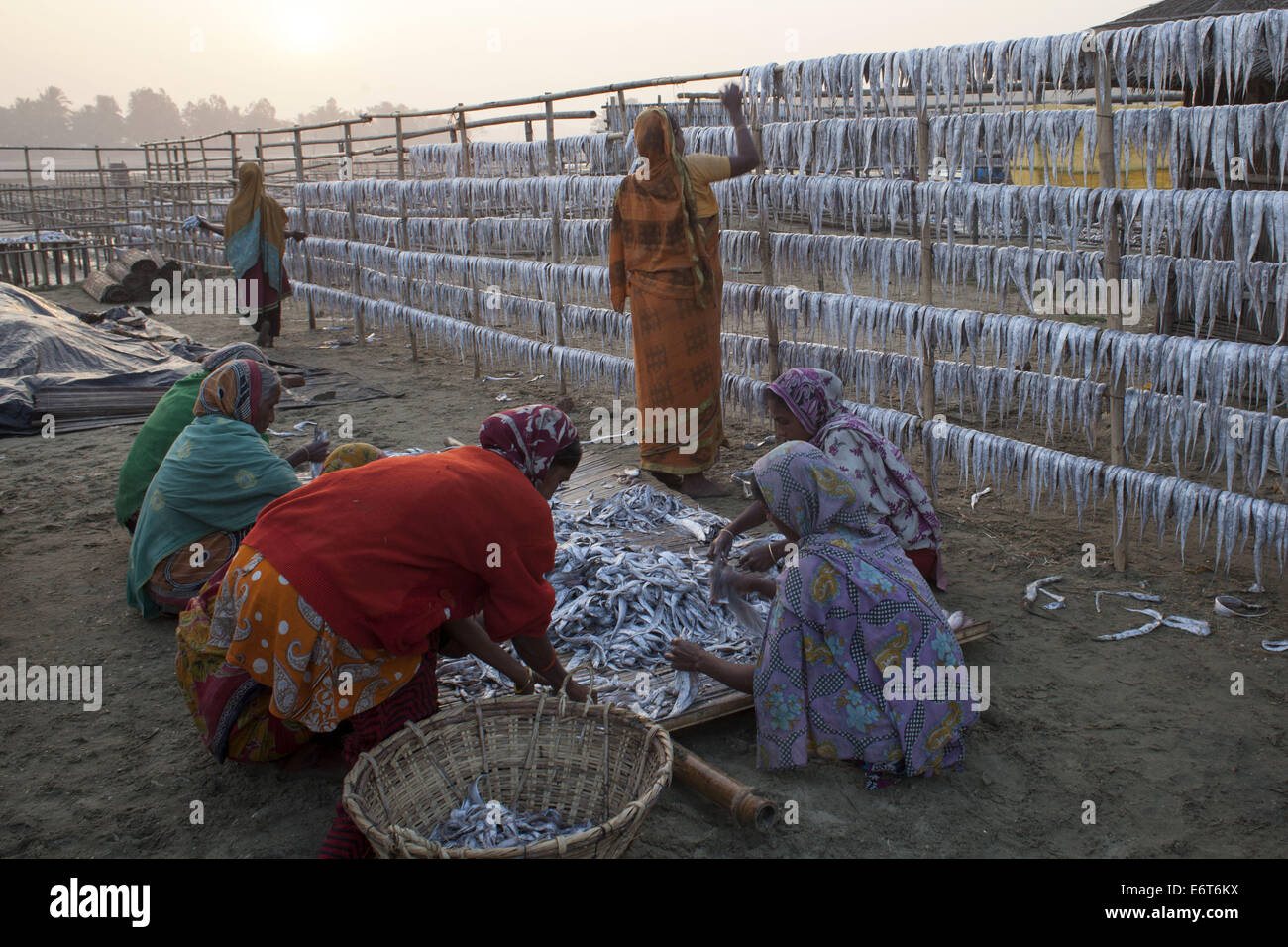 Bengali Fisherman High Resolution Stock Photography and Images - Alamy