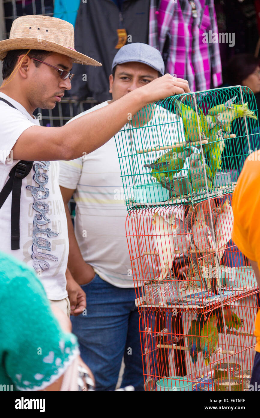 A man sells parakeets at the Sunday market in Tlacolula de Matamoros ...