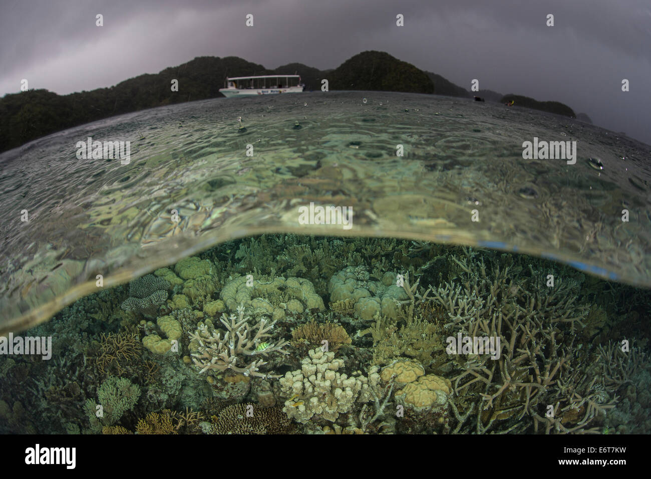 Rain over Coral Reef, Micronesia, Palau Stock Photo - Alamy