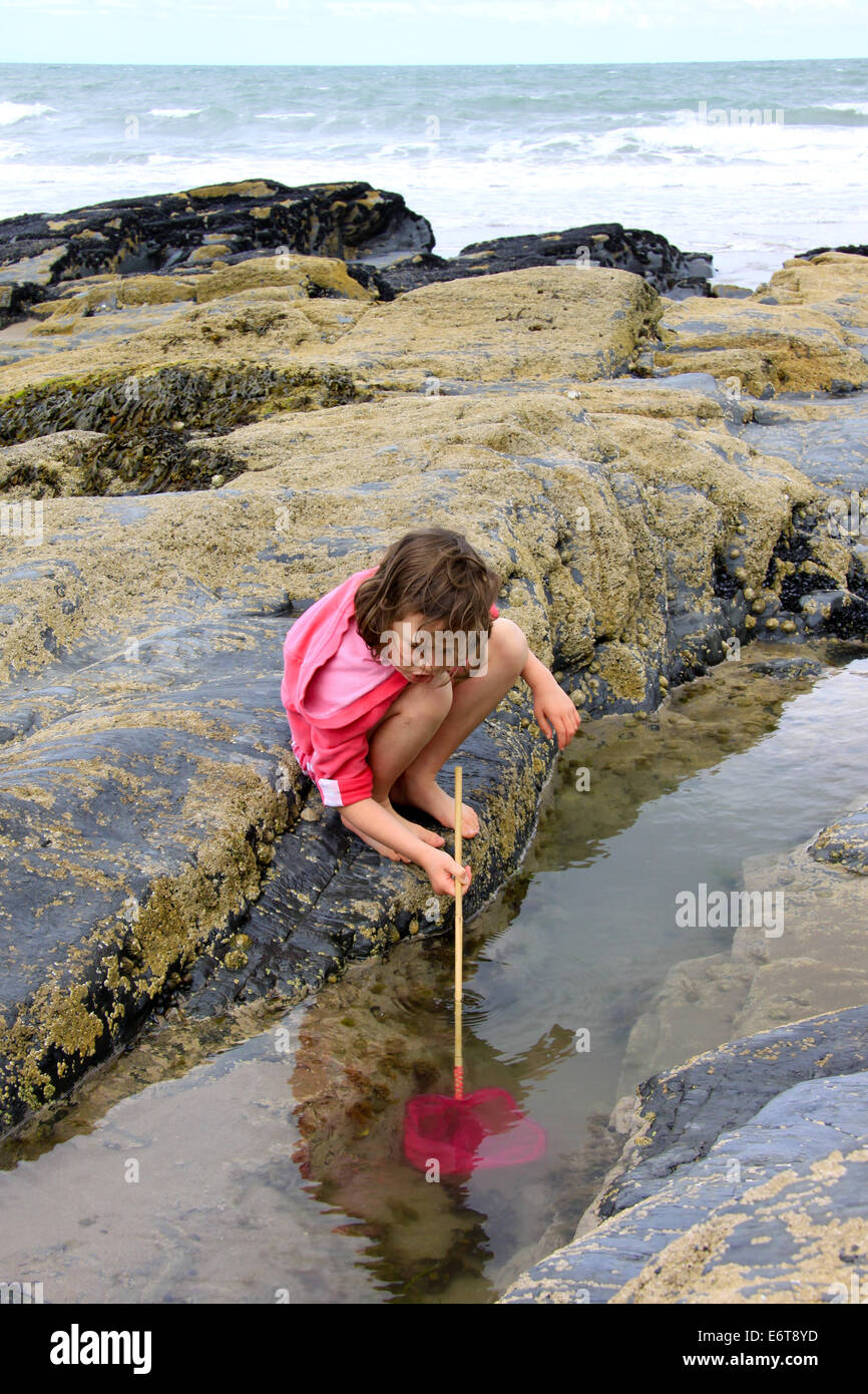 Exploring Rockpools High Resolution Stock Photography and Images - Alamy