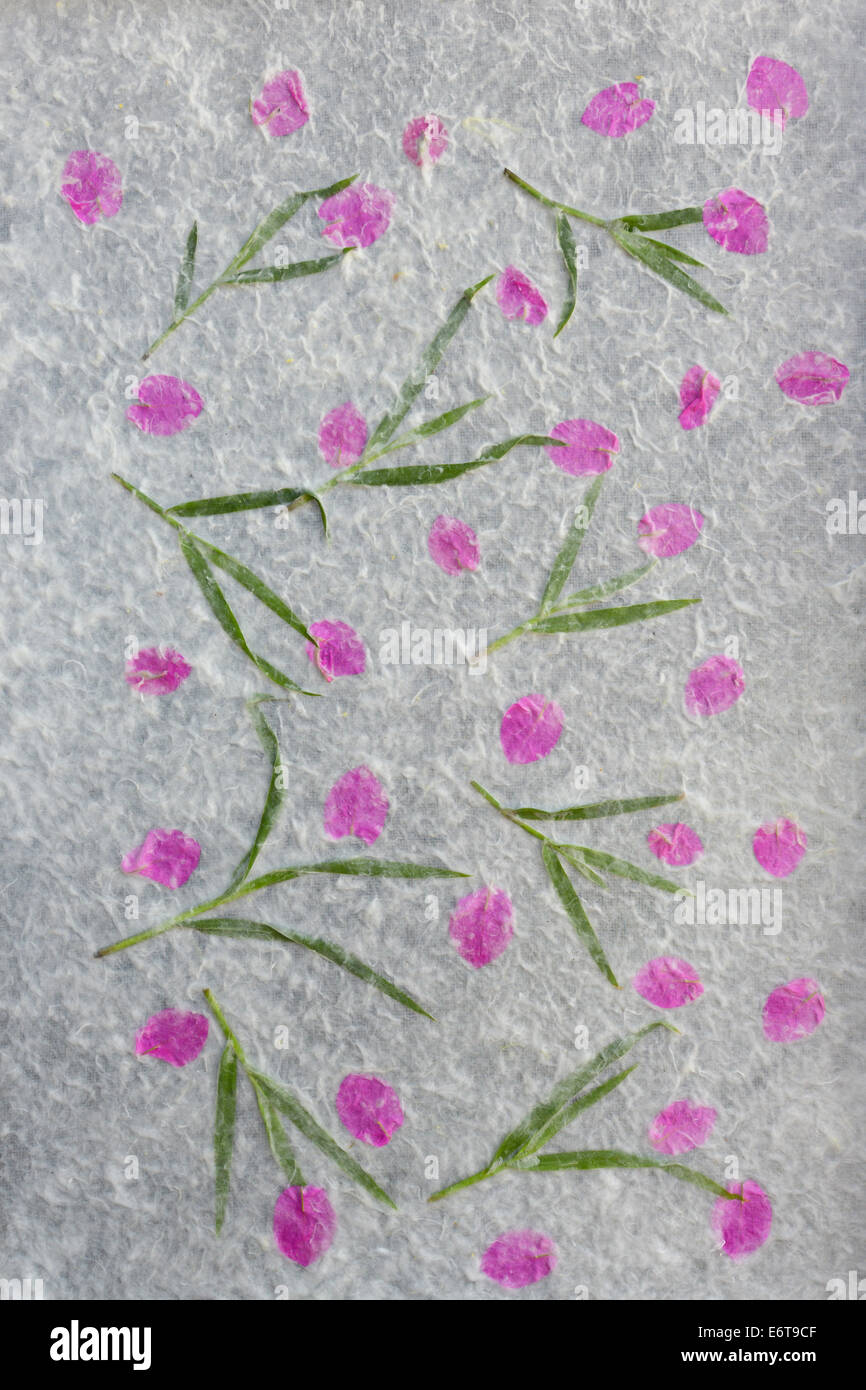 Paper made from the bark of a Saa tree, with flower petals and stalks ...