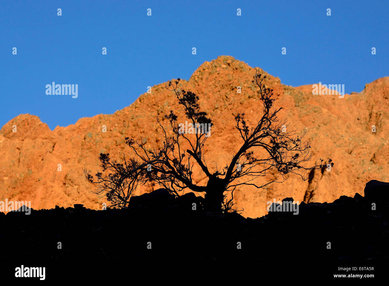 Afton canyon hi-res stock photography and images - Alamy