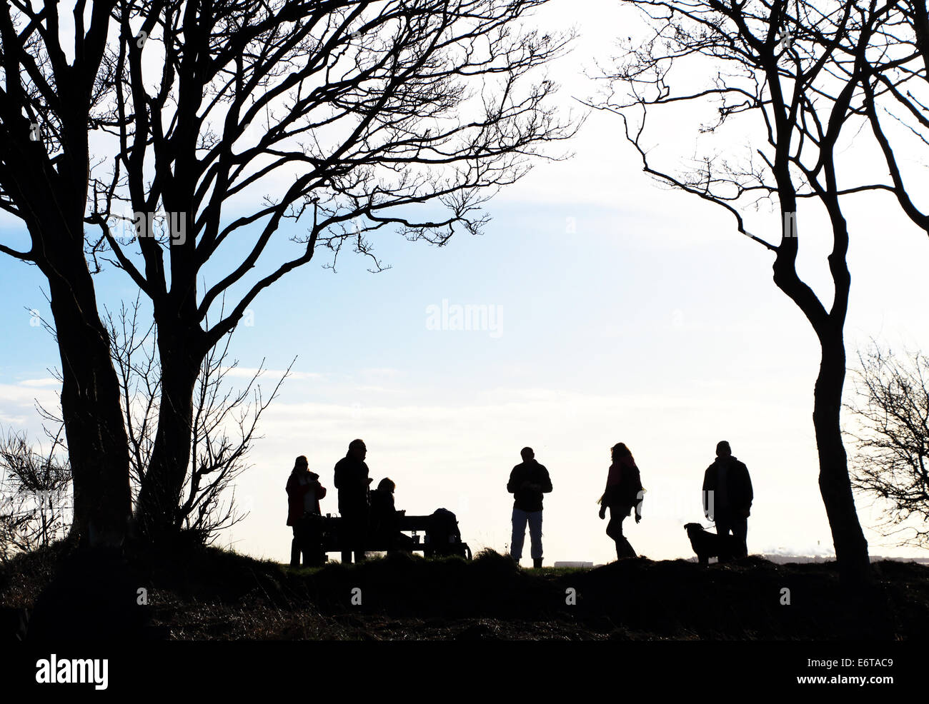 people group silhouette Stock Photo - Alamy