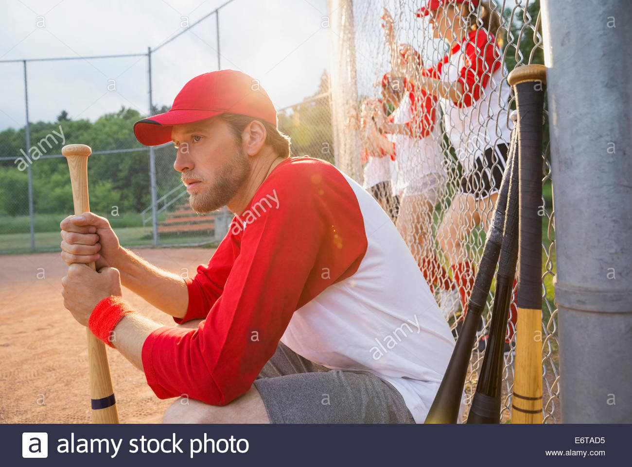 Baseball on bat hi-res stock photography and images - Alamy